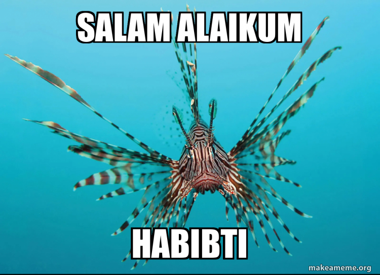 Salam alaikum habibti Meme Generator