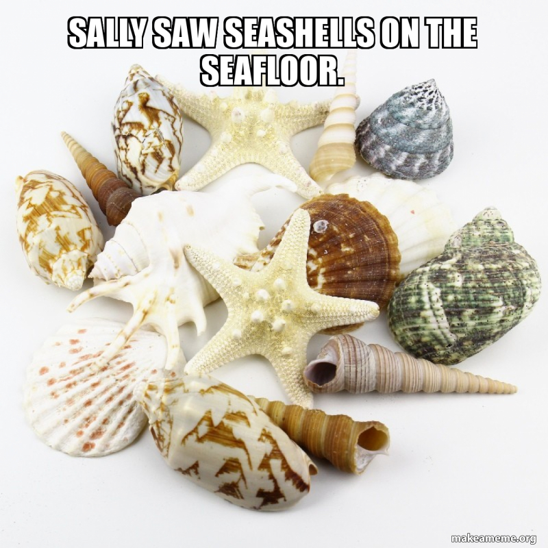 Sally saw seashells on the seafloor. Meme Generator