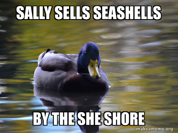 Sally sells seashells By the she shore - Zen Advice Mallard Meme Generator