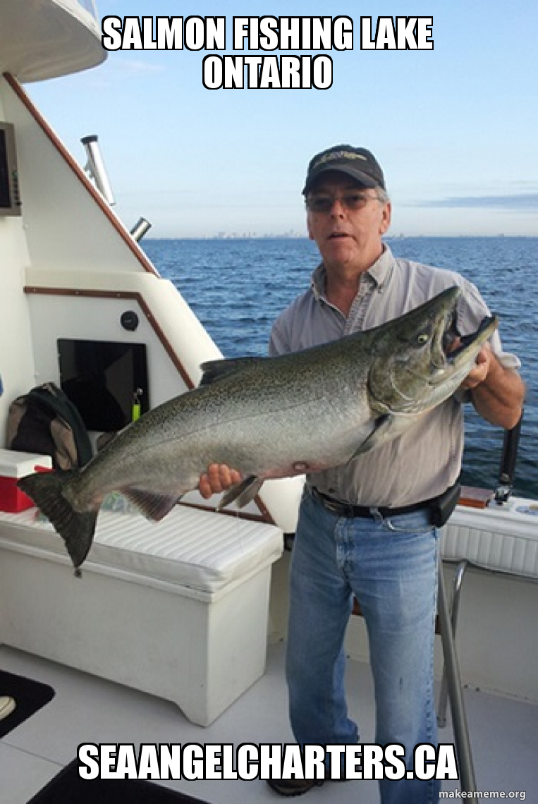 Salmon Fishing Lake Ontario seaangelcharters.ca Meme Generator