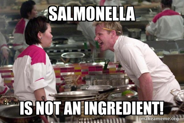 Salmonella IS NOT AN INGREDIENT! - Gordon Ramsay Meme Generator