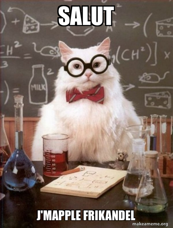 salut j'mapple frikandel - Chemistry Cat Meme Generator