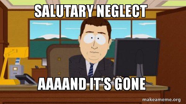 Salutary neglect aaaand it's gone - aaaand its gone Meme Generator