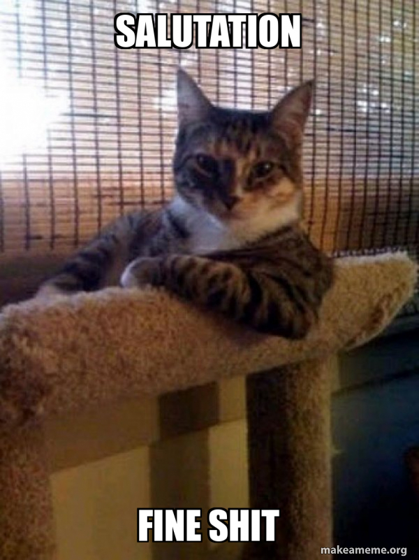 Salutation fine shit - The Most Interesting Cat in the World Meme Generator