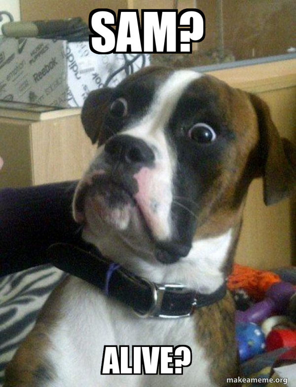 SAM? Alive? - Skeptical Dog Meme Generator