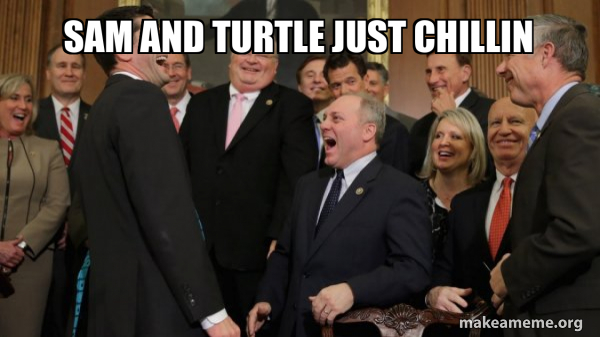 sam and turtle just chillin - And then we told them Meme Generator