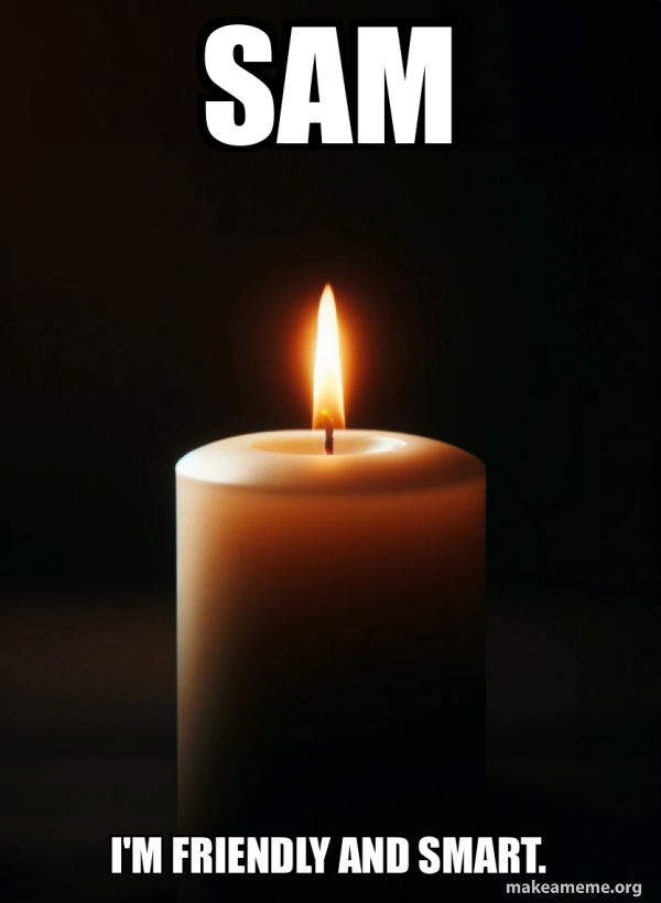 Sam I'm friendly and smart. - Simple Meme Generator