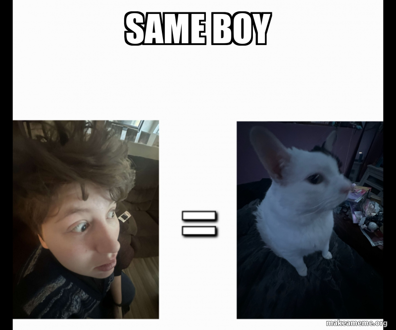 same boy Meme Generator