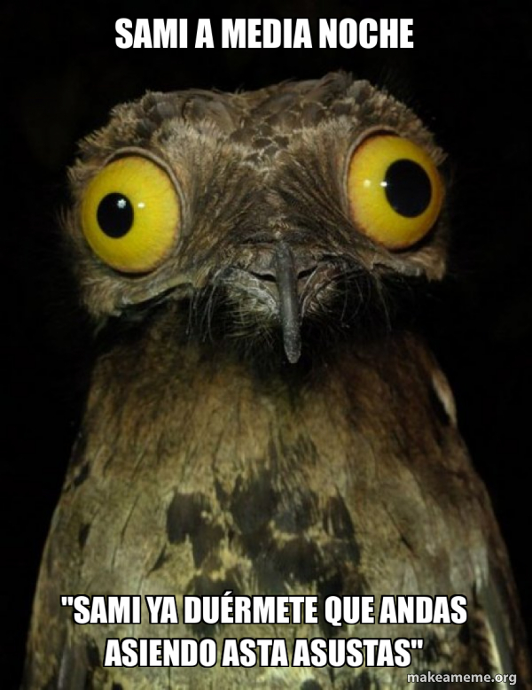 Sami a media noche "Sami ya duérmete que andas asiendo asta asustas ...