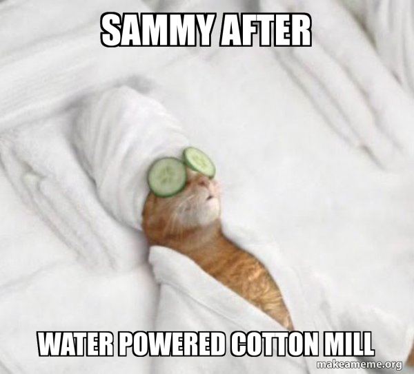 Sammy after Water powered cotton mill - Pampered Cat Meme Meme Generator