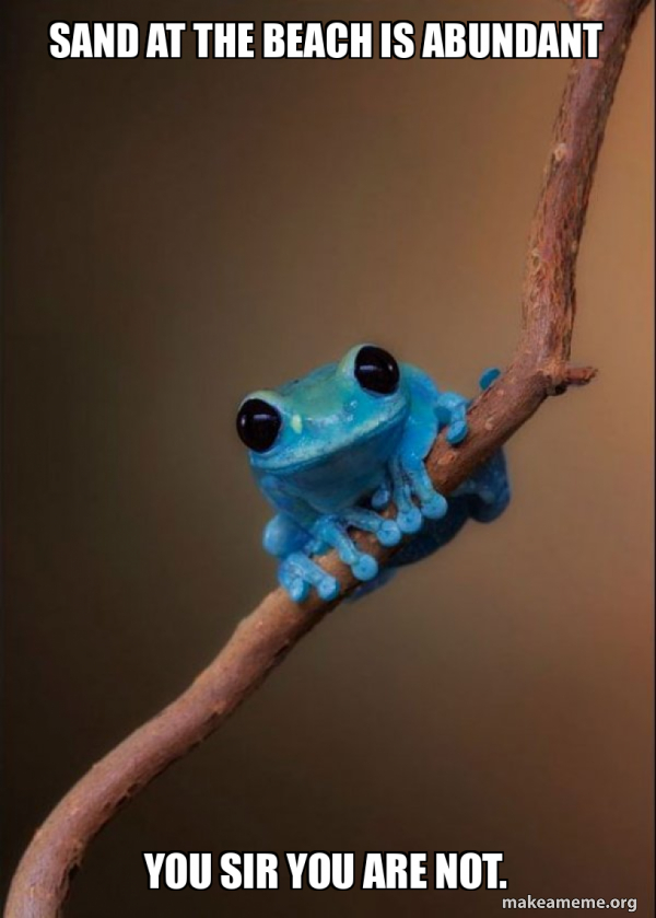 sand at the beach is Abundant you sir you are not. - Small Fact Frog ...