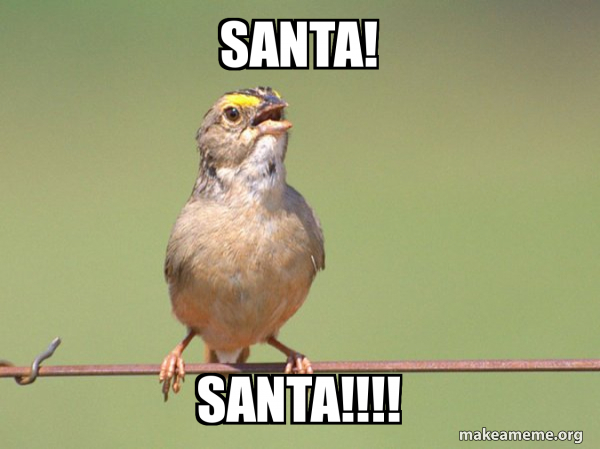 SANTA! SANTA!!!! - Common Opinion Sparrow Meme Generator