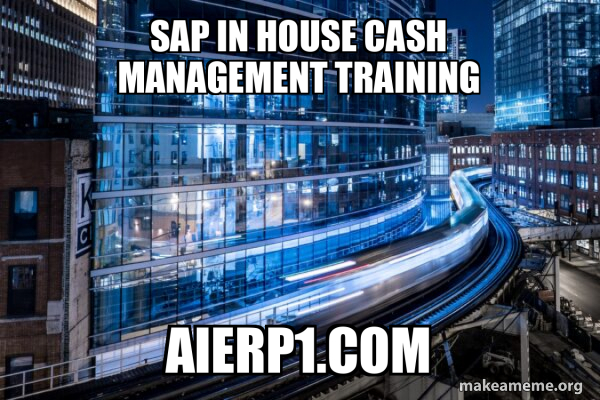 SAP In House Cash Management training aierp1.com Meme Generator