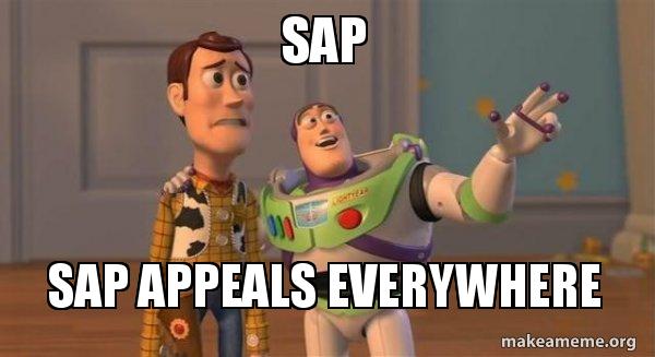 SAP SAP Appeals Everywhere - Buzz and Woody (Toy Story) Meme Meme Generator