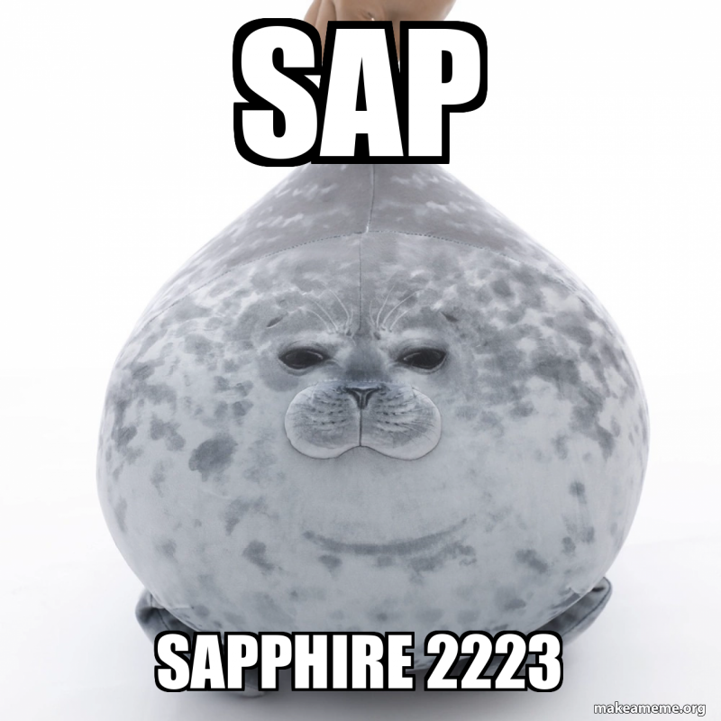 sap sapphire 2223 Meme Generator