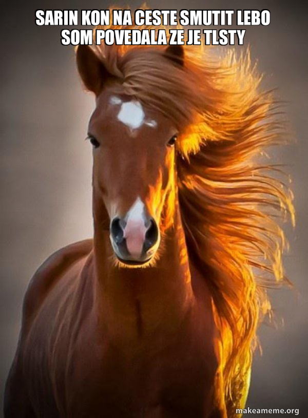 sarin kon na ceste smutit lebo som povedala ze je tlsty - Ridiculously ...
