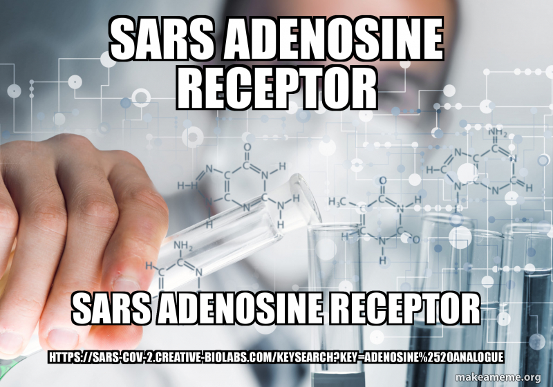 sars adenosine receptor sars adenosine receptor https://sars-cov-2 ...