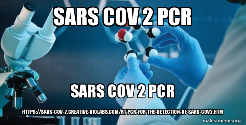 sars cov 2 pcr sars cov 2 pcr https://sars-cov-2.creative-biolabs.com ...