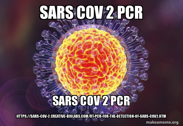 sars cov 2 pcr sars cov 2 pcr https://sars-cov-2.creative-biolabs.com ...