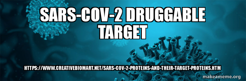 SARS-CoV-2 druggable target https://www.creativebiomart.net/SARS-CoV-2 ...