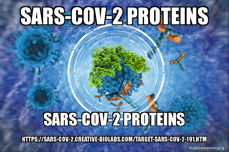 SARS-CoV-2 Proteins SARS-CoV-2 Proteins https://sars-cov-2.creative ...