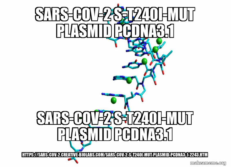 SARS-CoV-2 S-T240I-mut Plasmid pCDNA3.1 SARS-CoV-2 S-T240I-mut Plasmid ...