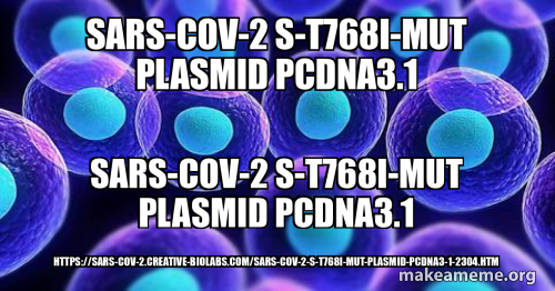 SARS-CoV-2 S-T768I-mut Plasmid pCDNA3.1 SARS-CoV-2 S-T768I-mut Plasmid ...