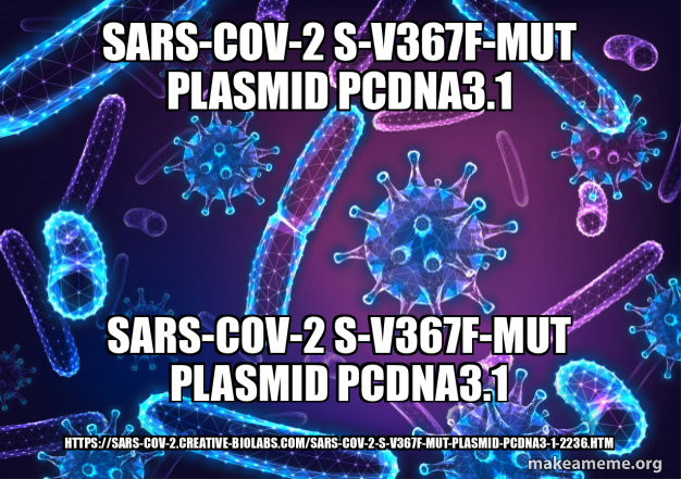 SARS-CoV-2 S-V367F-mut Plasmid pCDNA3.1 SARS-CoV-2 S-V367F-mut Plasmid ...
