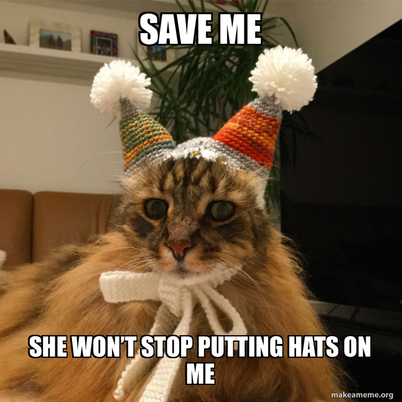 Save me She won’t stop putting Hats on mE Meme Generator