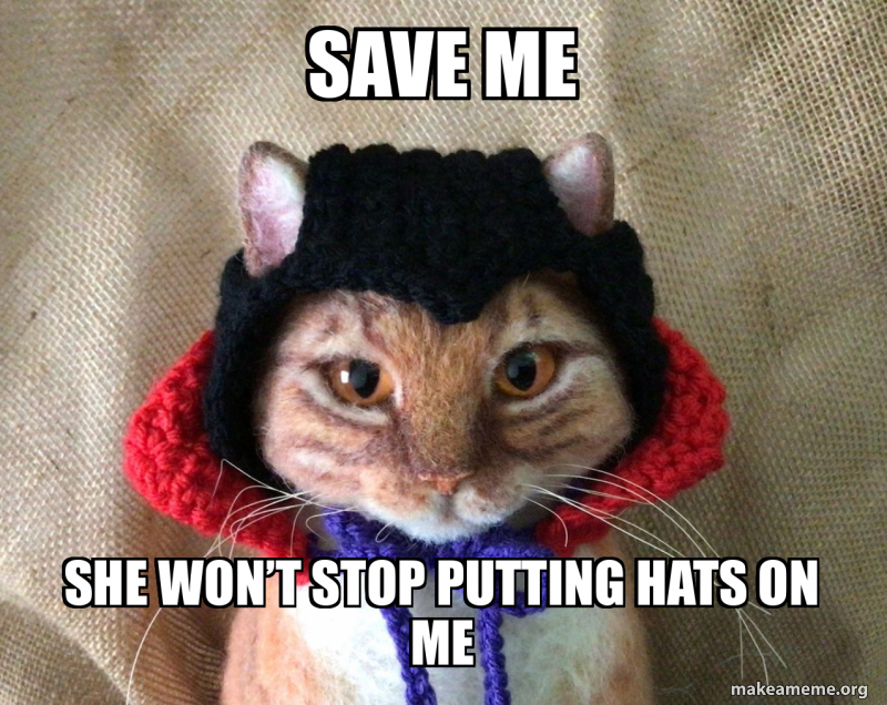 Save me She won’t stop putting hats on me Meme Generator