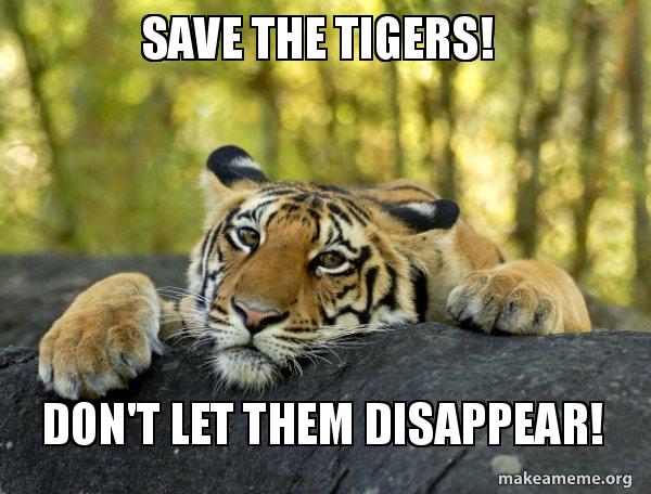 Save the tigers! Don't let them disappear! - Confession Tiger Meme ...