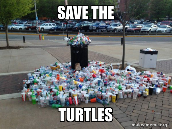 Save the Turtles - Canadian Football Fans meme Meme Generator