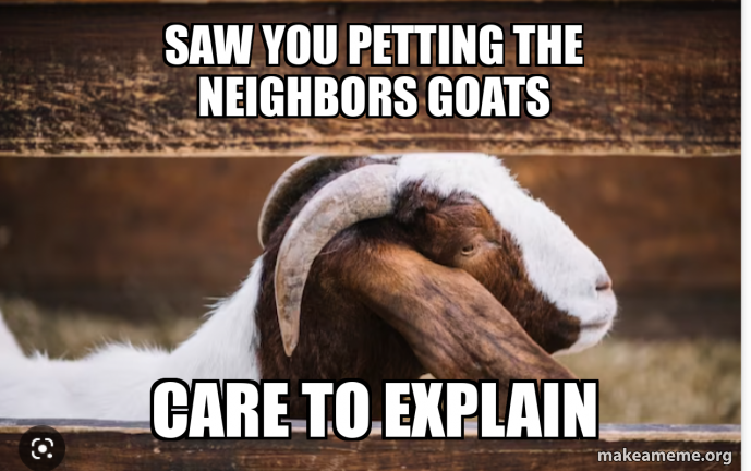 Saw you petting the neighbors goats care to explain Meme Generator