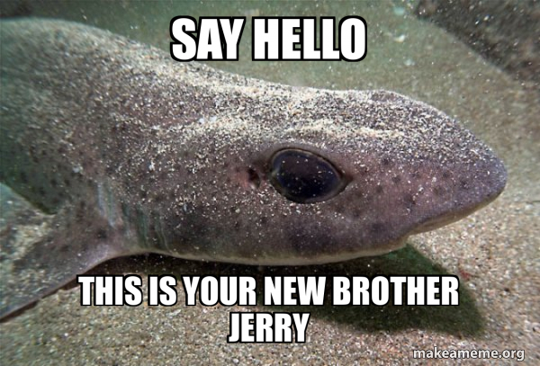 Say hello This is your new brother Jerry - Dirty Joke Dogfish | Make a Meme