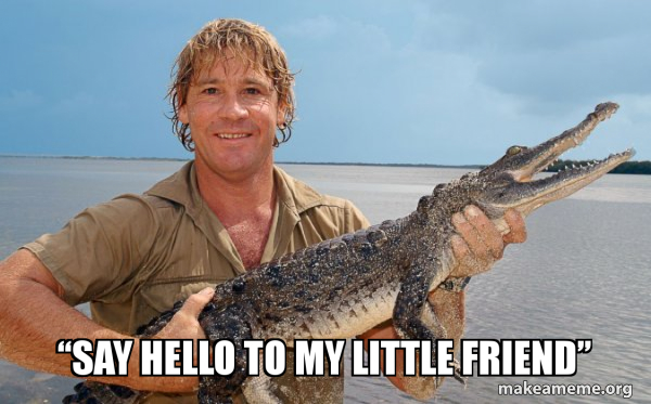 â€œSay hello to my little friendâ€ - Steve irwin Meme Generator