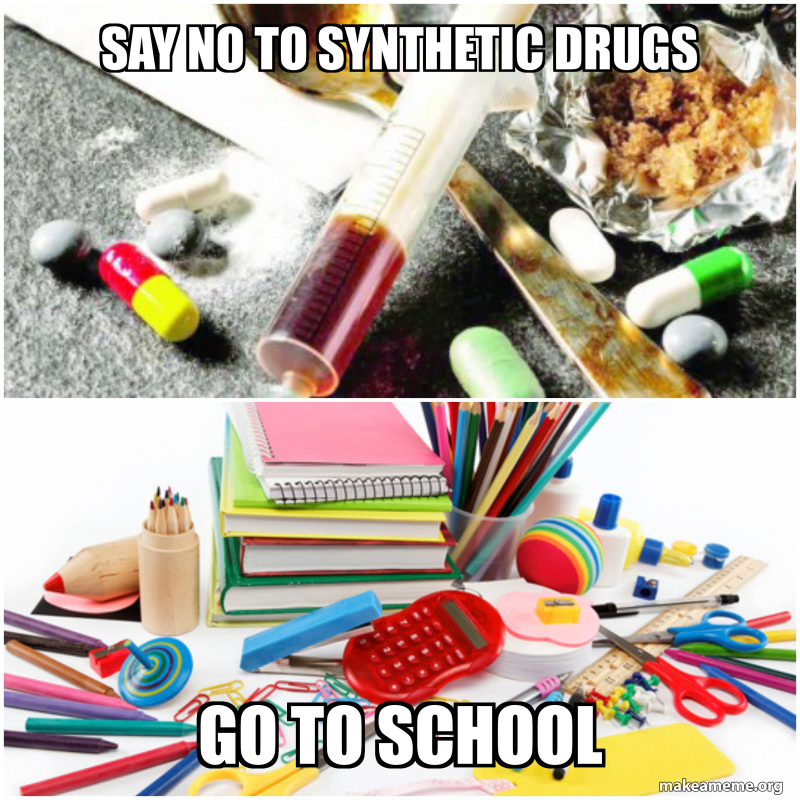 Say no to synthetic drugs Go to school Meme Generator