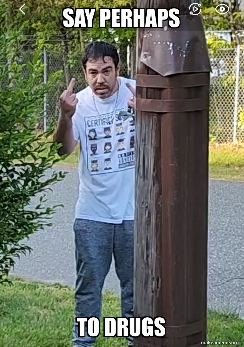 Say perhaps To drugs - Say perhaps Meme Generator