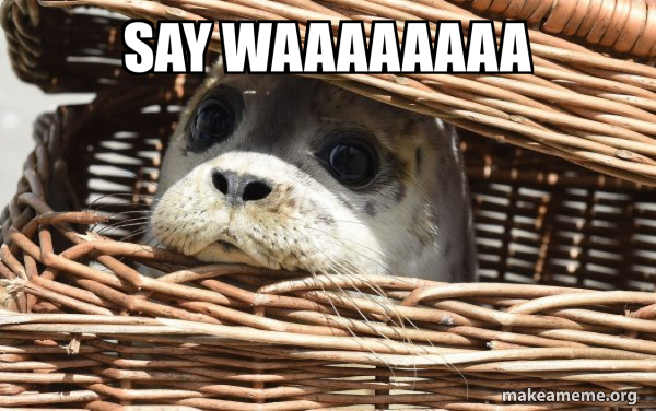 say waaaaaaaa - Impending Doom Seal Meme Generator