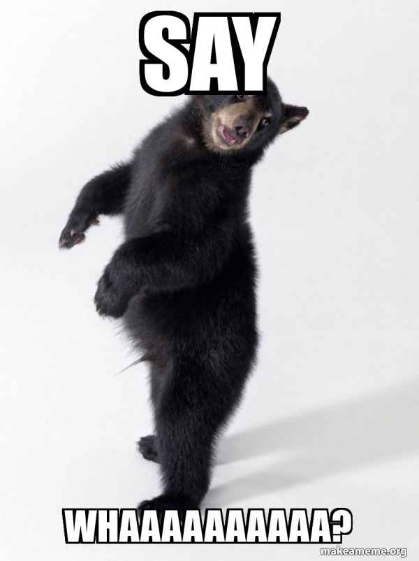 say whaaaaaaaaaa? - Super Bear'd Meme Generator