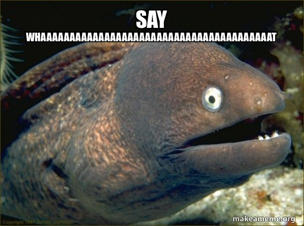 say whaaaaaaaaaaaaaaaaaaaaaaaaaaaaaaaaaaaaaaaat - Bad Joke Eel Meme ...