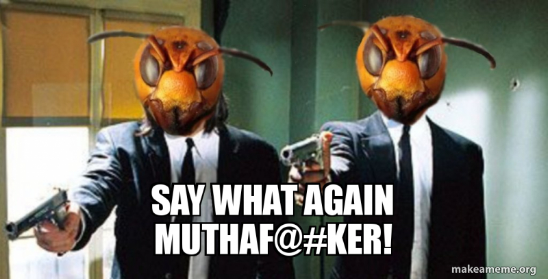 say what again muthaf@#ker! Meme Generator