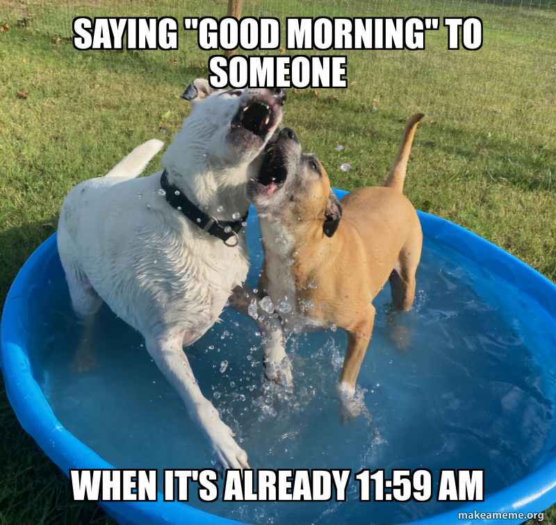 Saying "Good morning" to someone When it's already 11:59 AM Meme Generator