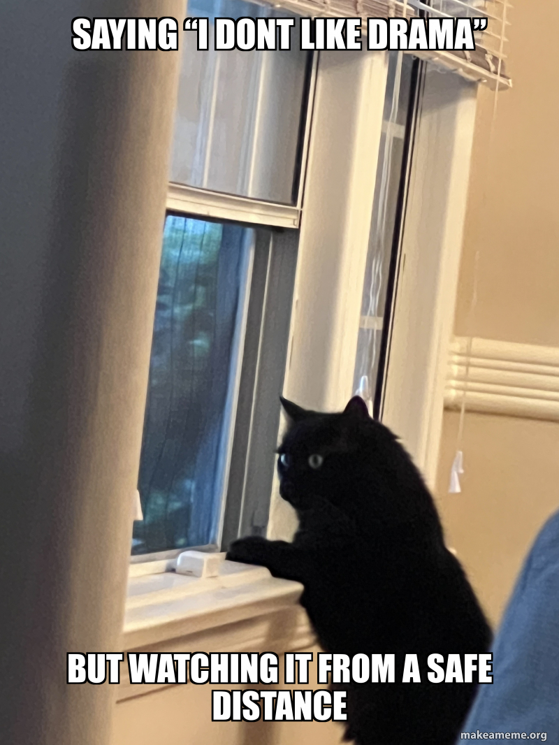 Saying “i dont like drama” But watching it from a safe distance Meme ...
