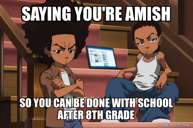 Saying you're amish So you can be done with school after 8th grade Meme ...