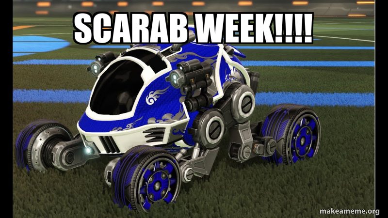 SCARAB WEEK!!!! Meme Generator