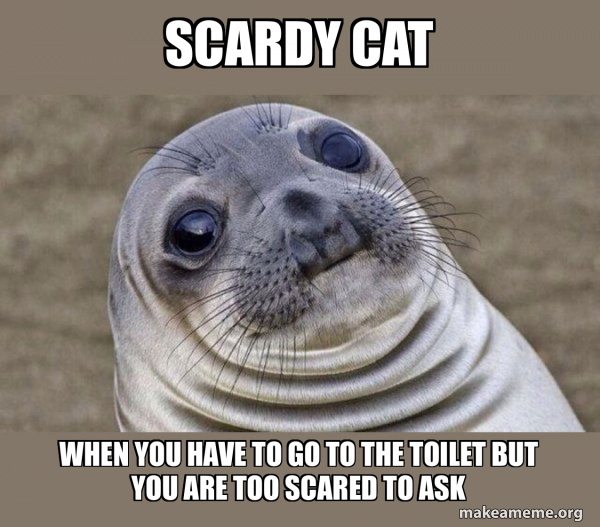 scardy cat When you have to go to the toilet but you are too scared to ask - Squeamish Seal Meme ...