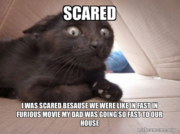 scared I was scared besause we were like in fast in furious movie my ...