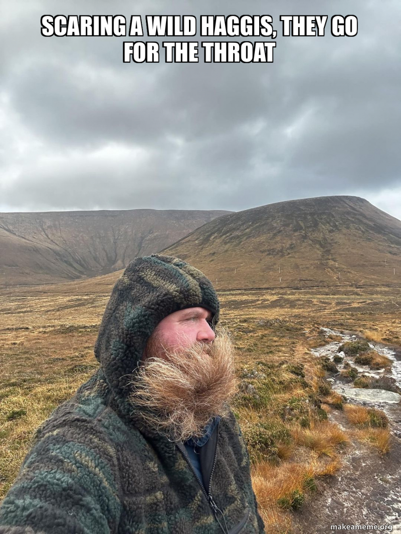 scaring a wild haggis, they go for the throat Meme Generator