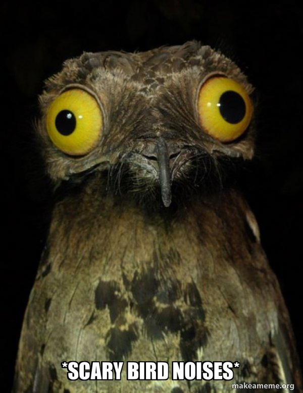 *scary bird noises* - Weird Stuff I do Potoo Meme Generator