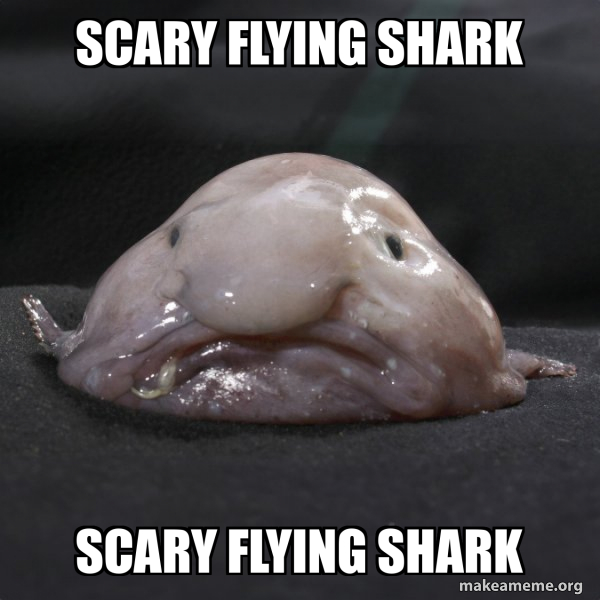 scary flying shark SCARY FLYING SHARK - Blobfish Meme Generator